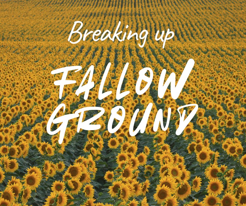 Breaking Up Fallow Ground – CRISIE HUTCHINGS